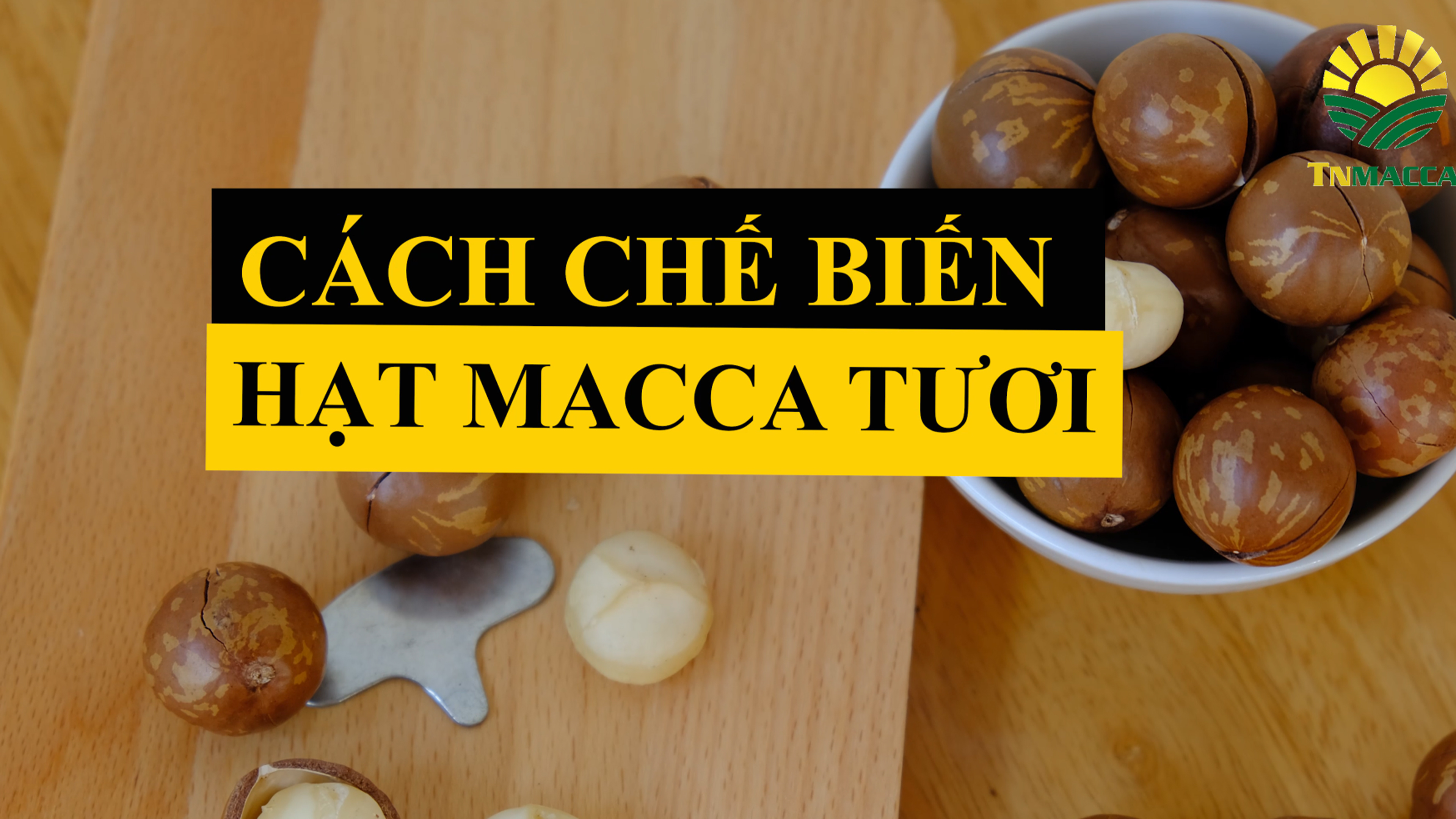 Giới thiệu Tnmacca - Hạt macca tây nguyên giá sỉ
