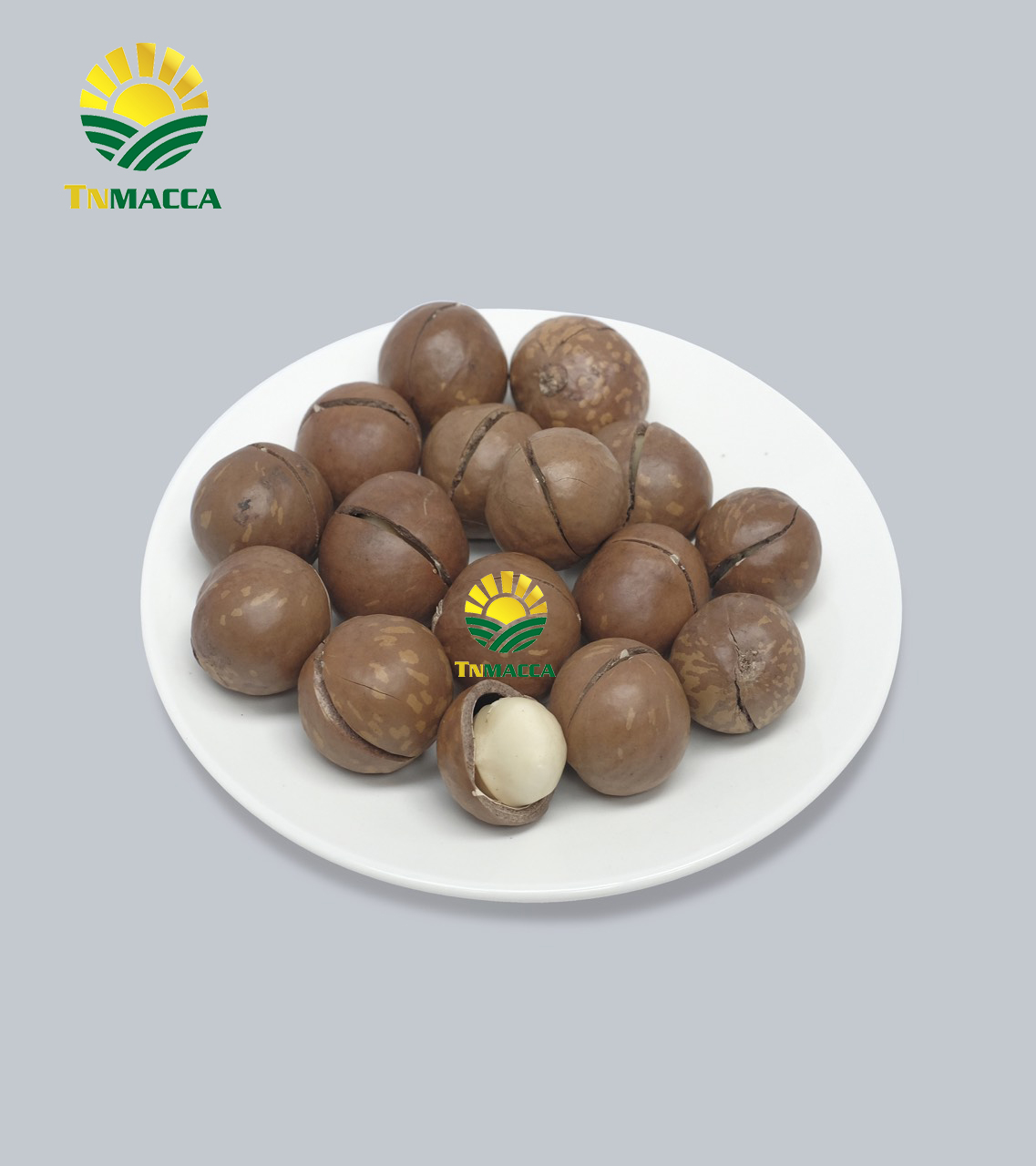 Hạt Mắc Ca Tây Nguyên -chuyên cung cấp hạt mắc ca sỉ lẻ